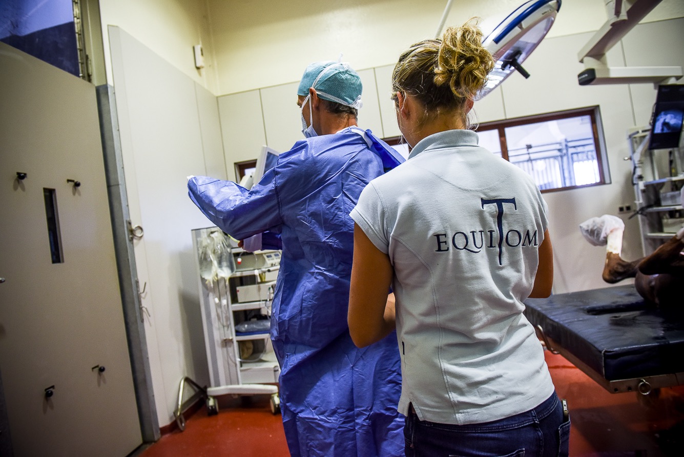 Chirurgie – Medische Diensten – EquiTom Equine Clinic
