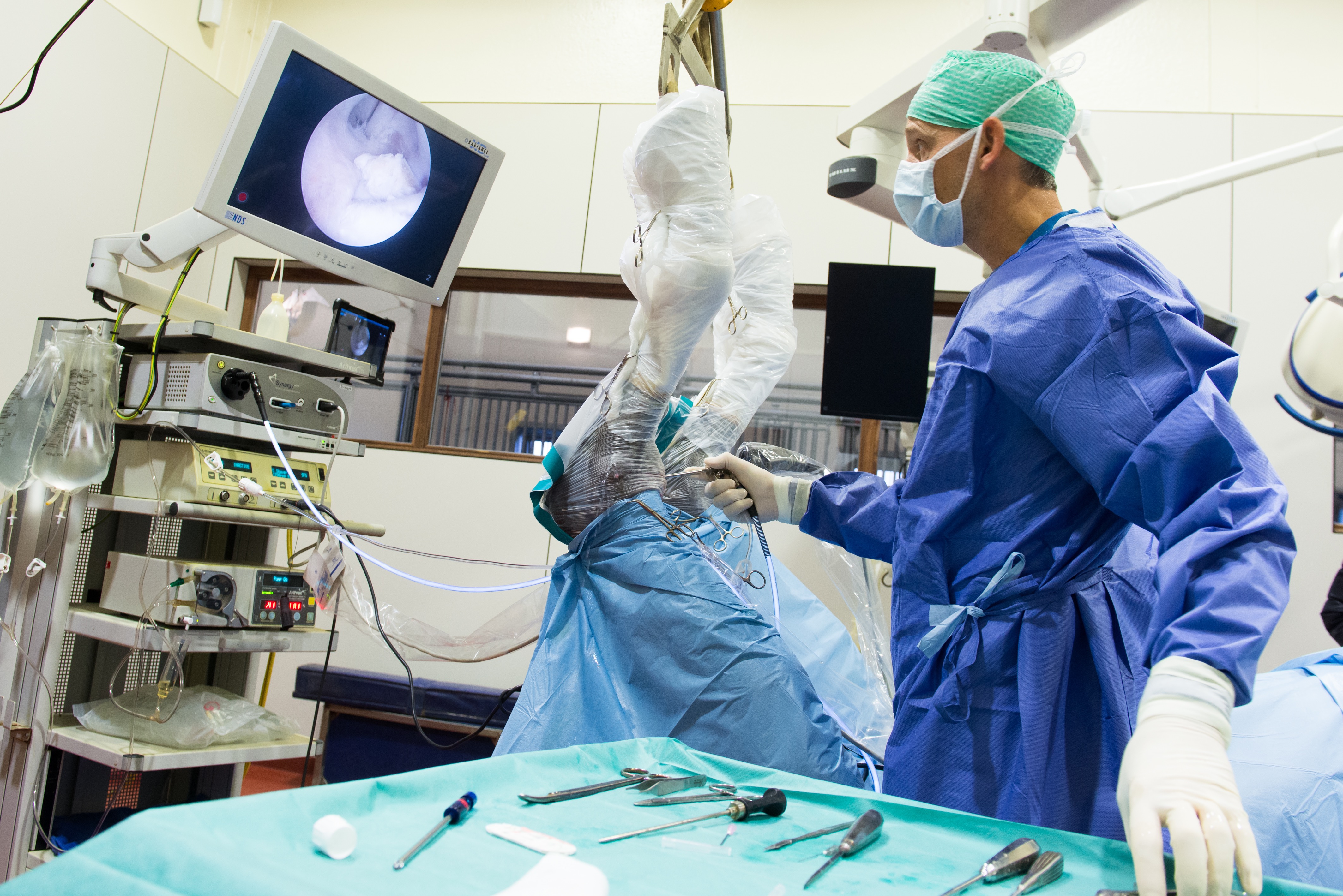 Chirurgie – Medische Diensten – EquiTom Equine Clinic