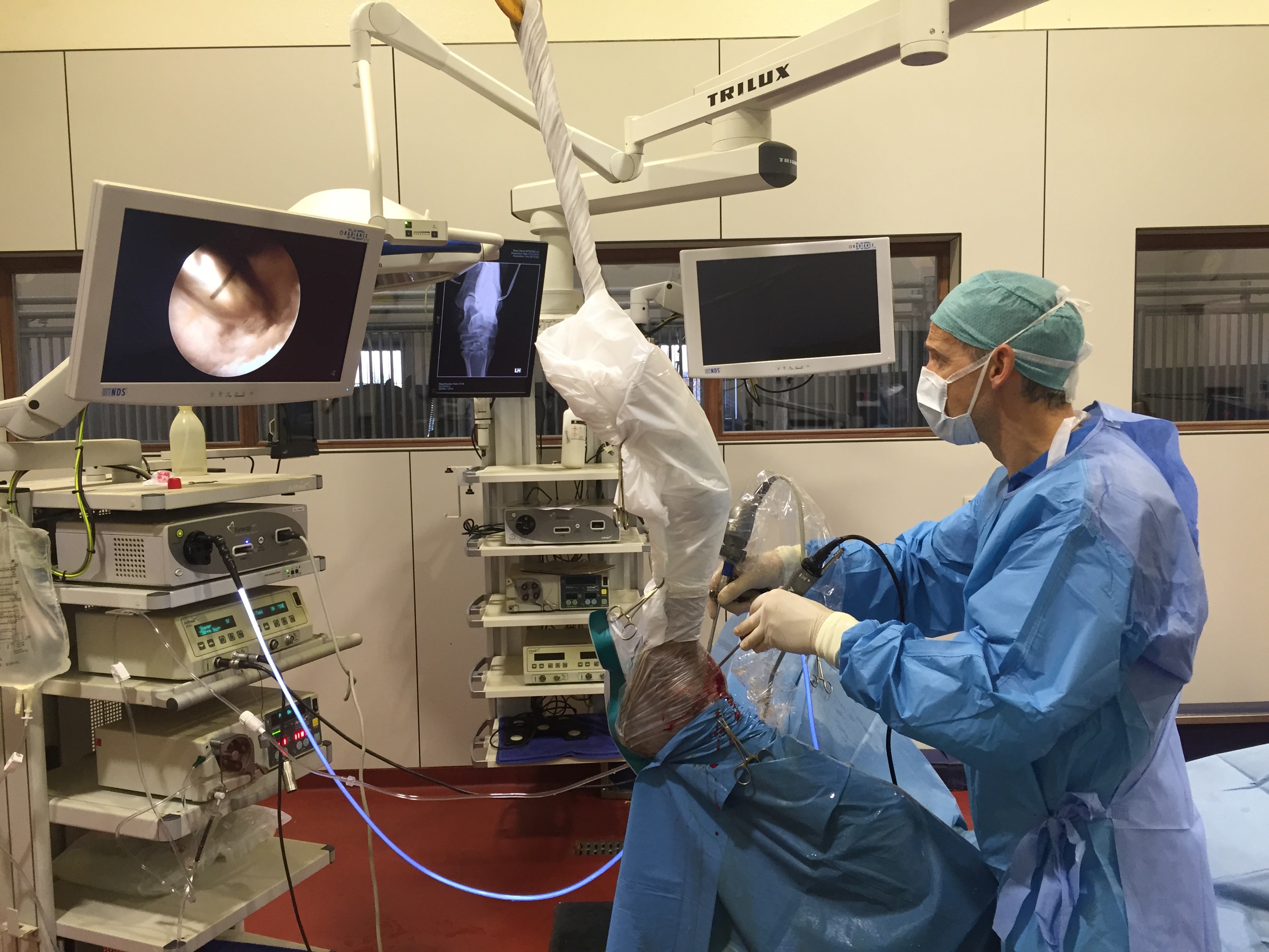 Arthroscopy Surgery Equitom Equine Clinic