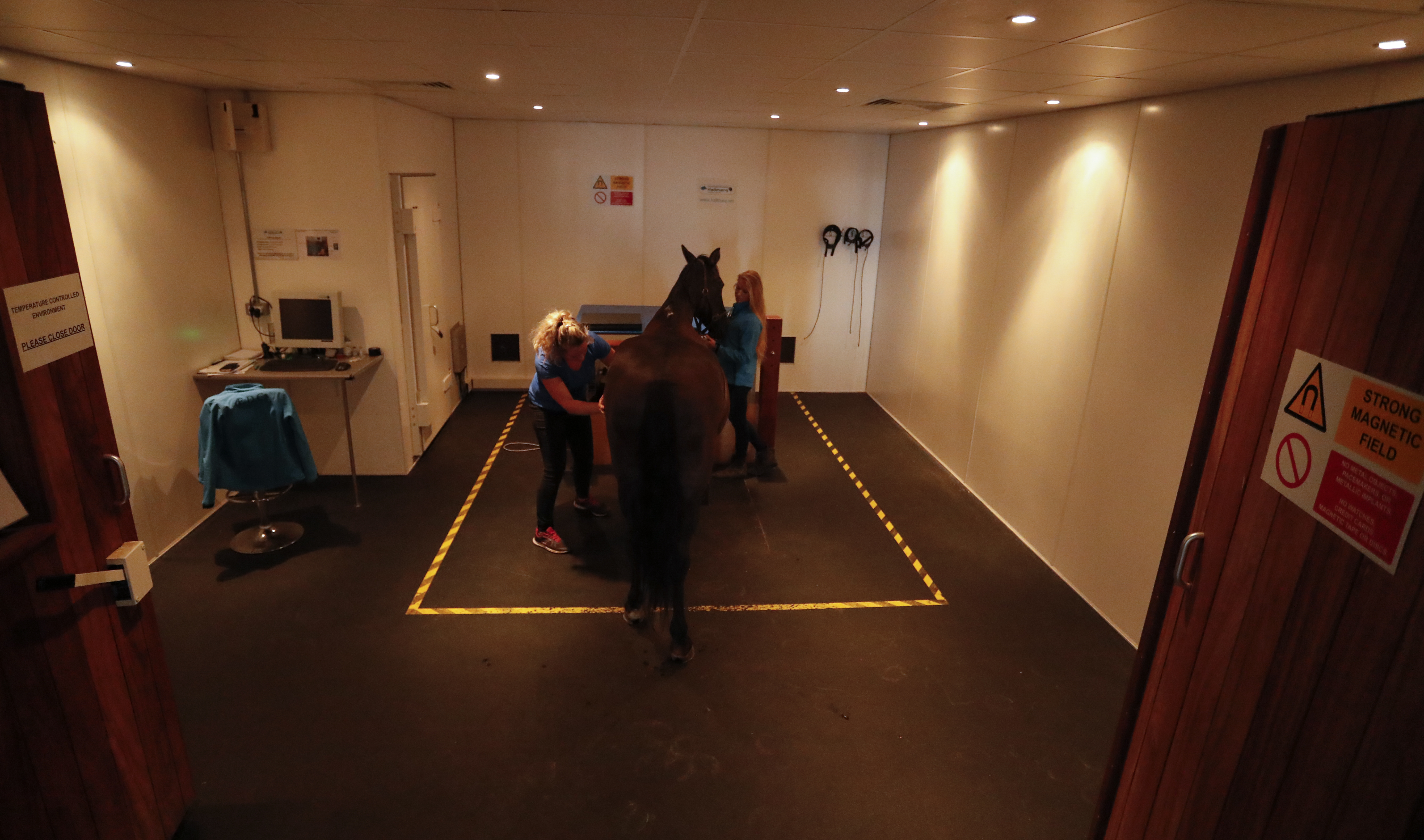 Imagerie médicale – Nos Services – EquiTom Equine Clinic