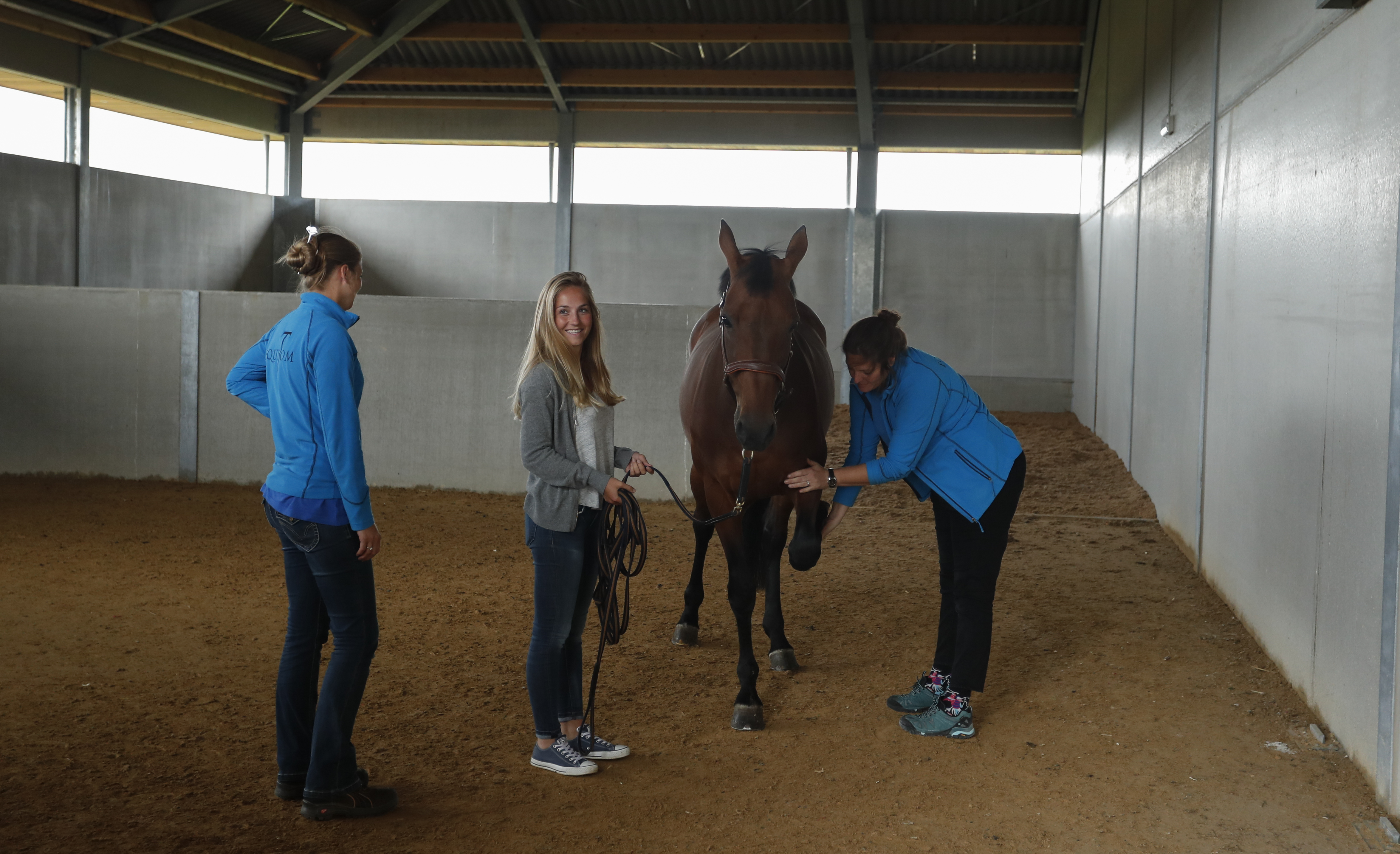 Keuringen en expertises – Medische Diensten – EquiTom Equine Clinic