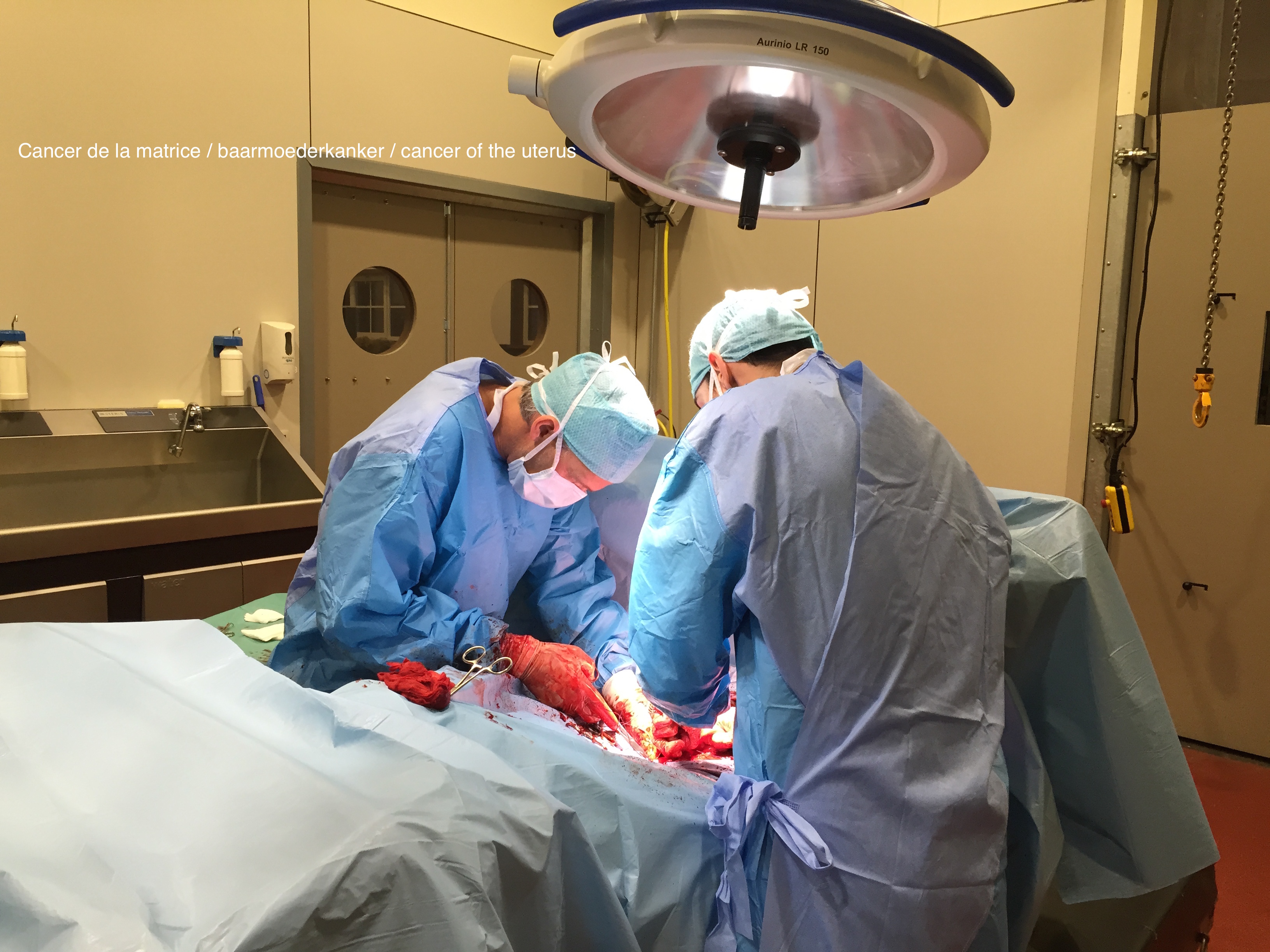 Ovariectomie – Chirurgie – EquiTom Equine Clinic