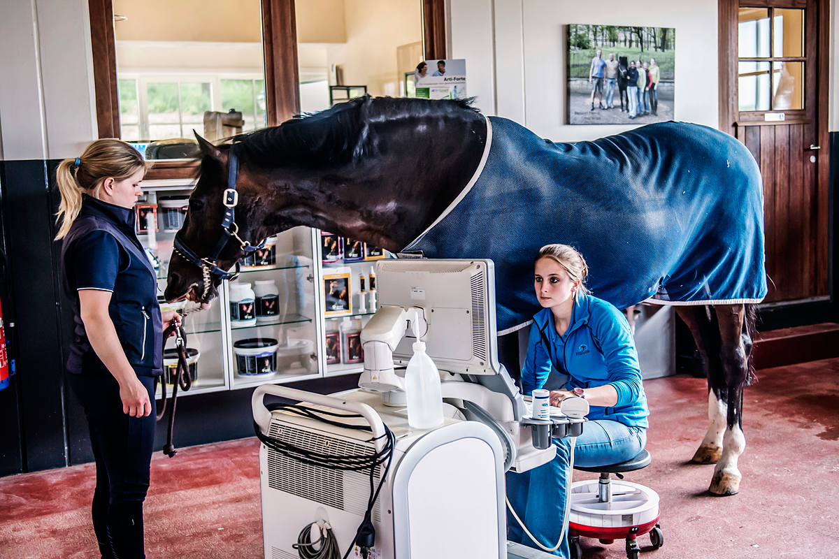 Unsere Ausrüstung – EquiTom Equine Clinic